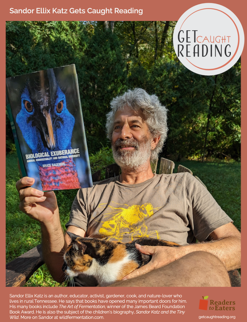 New Posters – Get Caught Reading