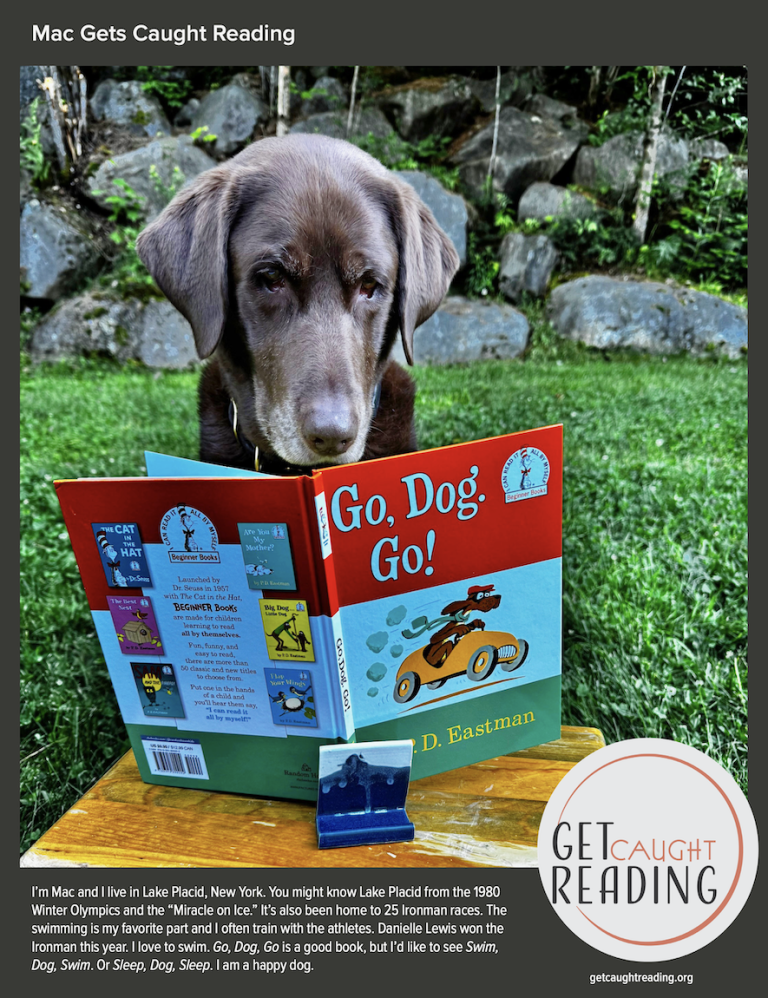 New Posters – Get Caught Reading